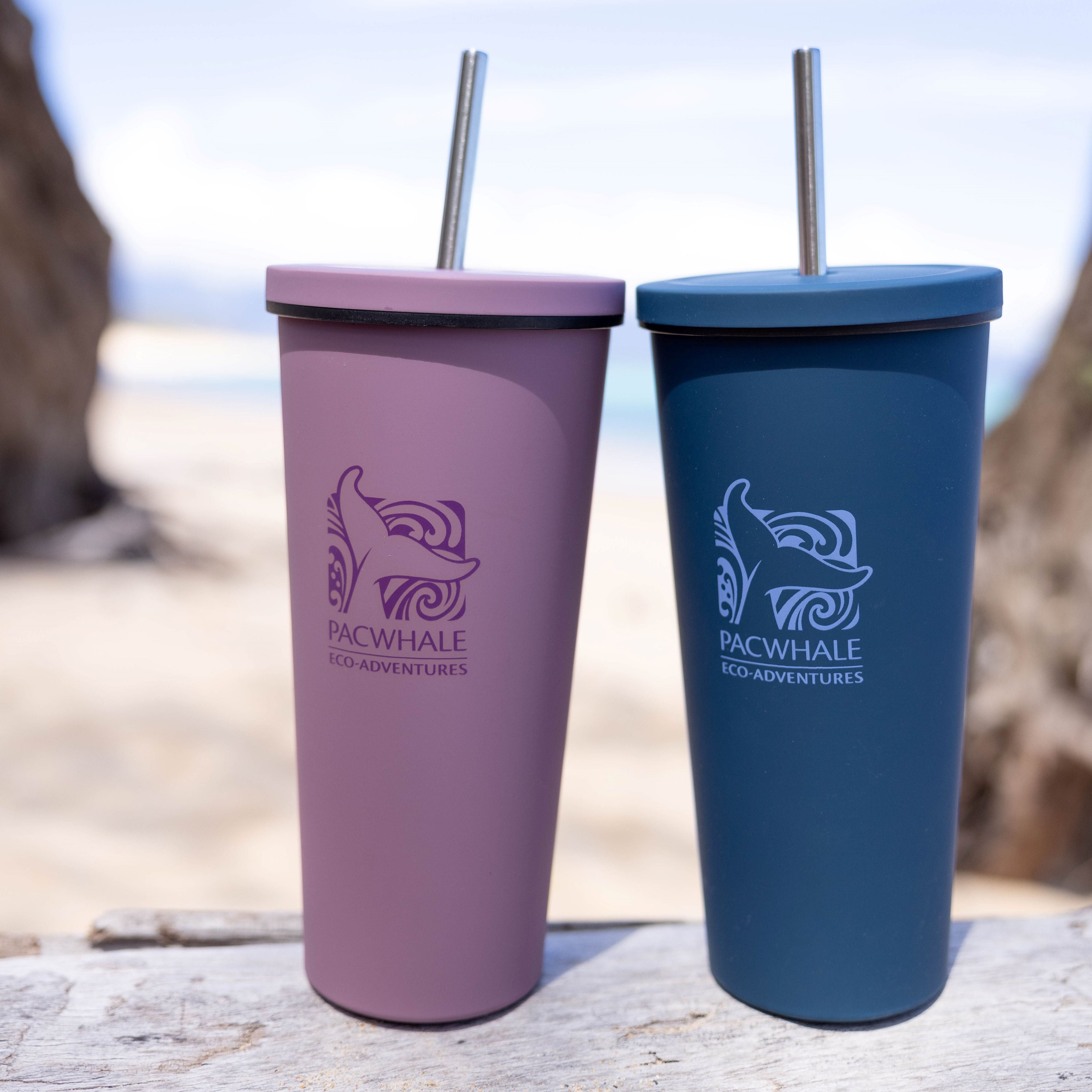 PacWhale Eco-Adventures 24 oz. Matte Tumbler – PacWhale Ocean Store