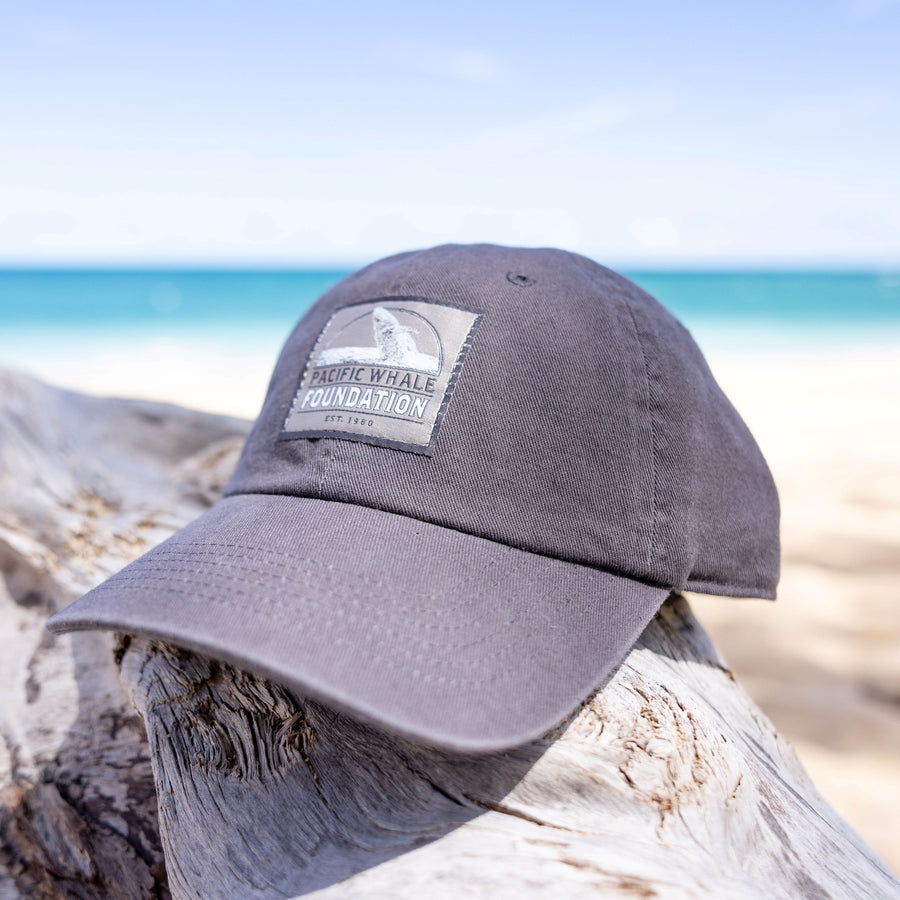 Ocean Store | Pacific Whale Foundation – PacWhale Ocean Store